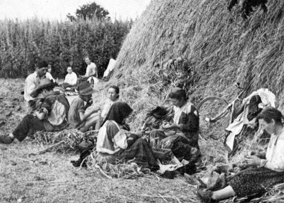 Czech Genealogy blog: Farmhands, grooms, day labourers - rural occupations