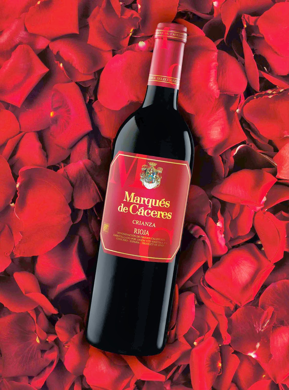 Wine in Vietnam: Marques de Caceres (Spain) winery and wine dinner