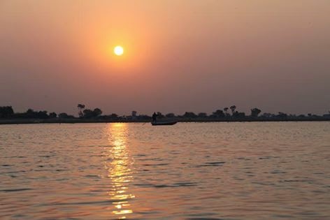 The Magic Tours Blog: Nal Sarovar Bird Sanctuary
