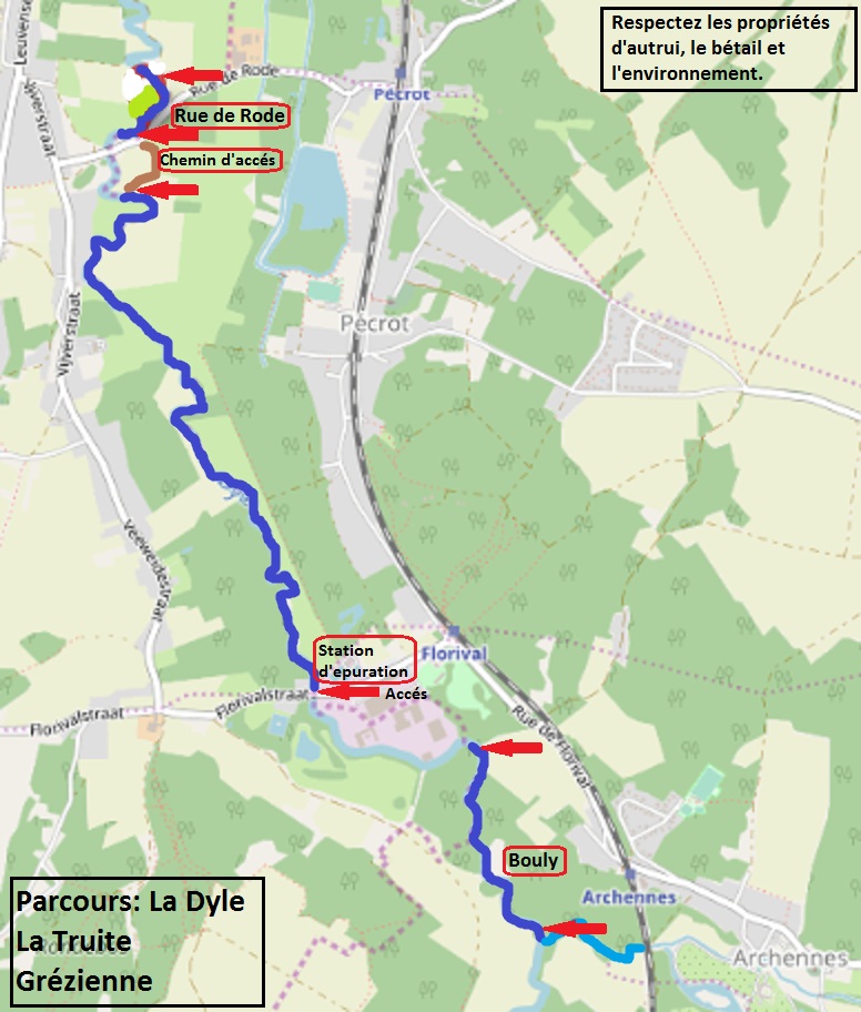 la truite grézienne: Parcours : La Dyle
