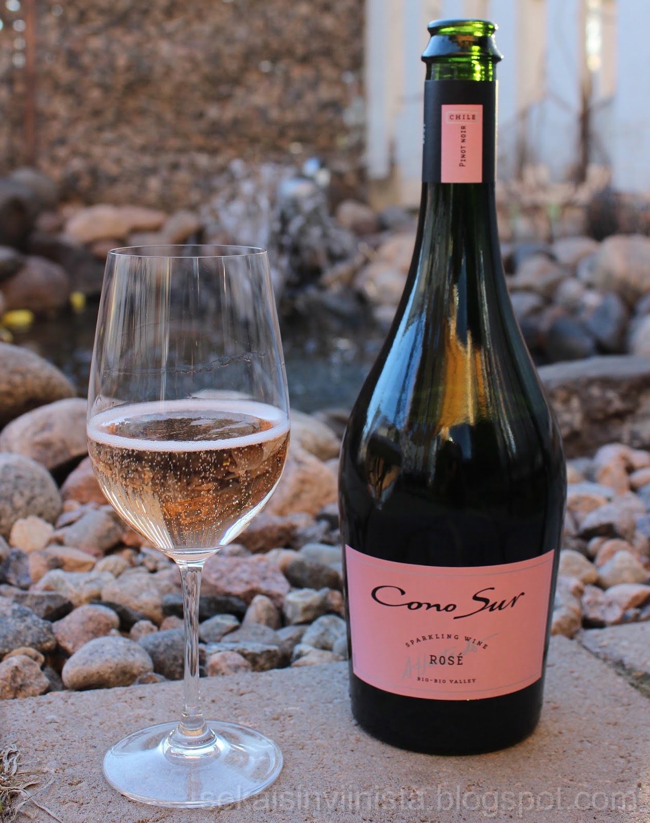 Sekaisin viinistä: Kesän roseekuoharit: Cono Sur Rosé Brut