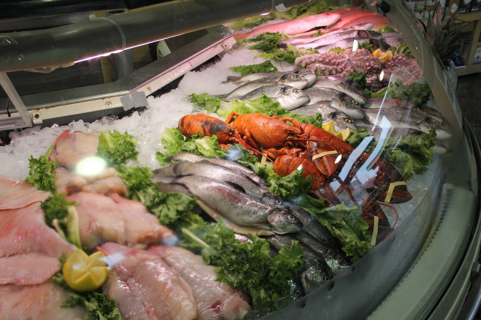 Jean Talon Market [Montreal] | CJ NOMS