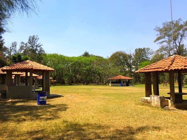 Parque Ecológico de Barueri (ex-Parque Ecológico do Tietê - Núcleo Ilha ...