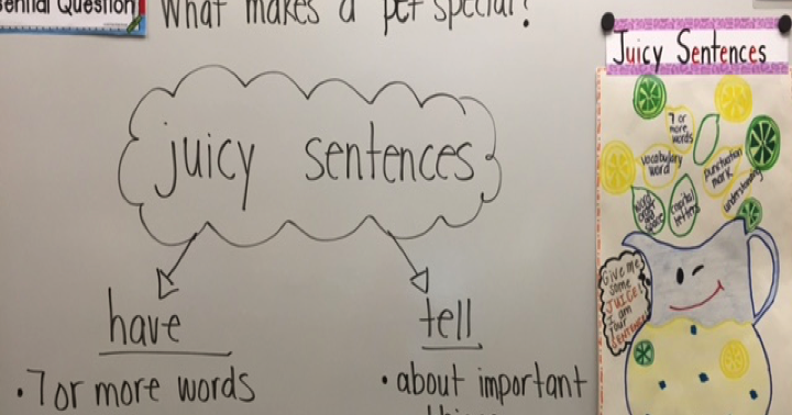 Juicy Sentences - The Primary Punchbowl