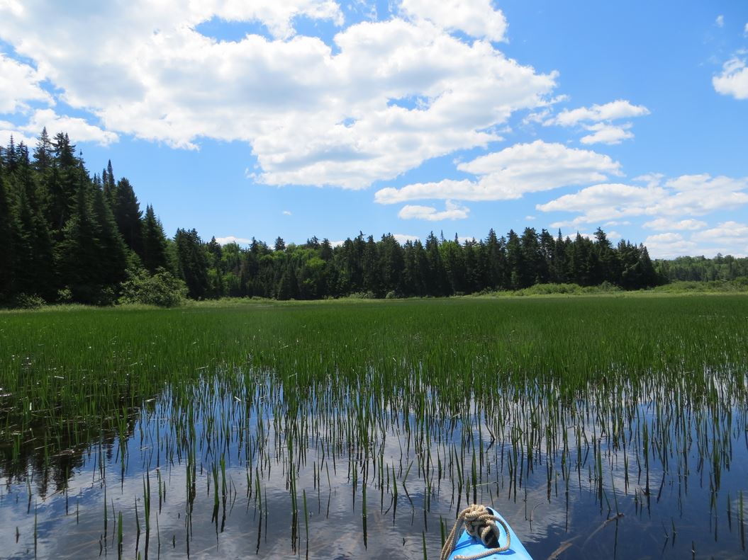 A Little Wild: A Busy Summer of Hikes and Water Trips - Kayaderosseras ...