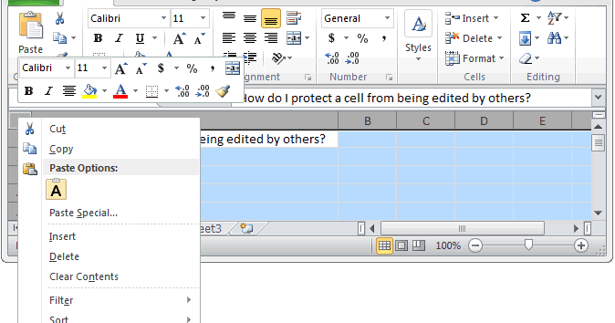 Likes MS EXCEL PROTECT A CELL IN EXCEL 2010