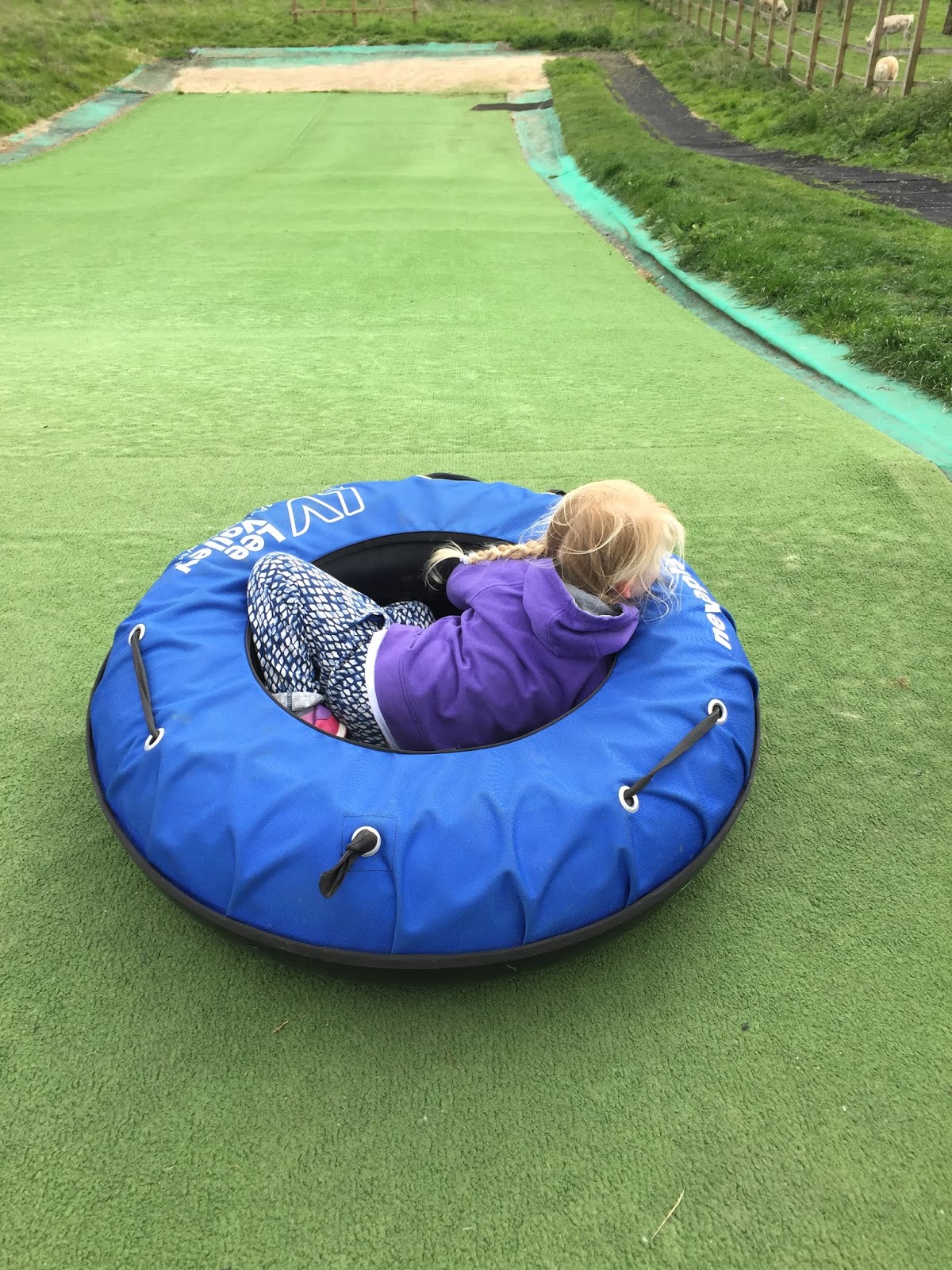 Review of Lee Valley Park Farms in Waltham Abbey, Essex - Counting To Ten