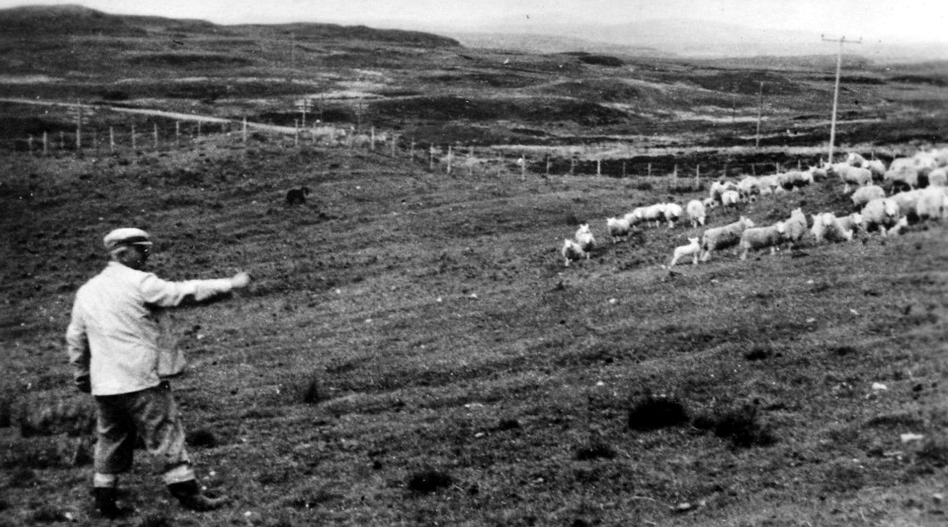 Tour Scotland: Old Photograph Shepherd Struan Isle Of Skye Scotland