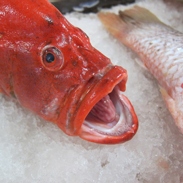 Where to Buy Fish in Pontian? |Tony Johor Kaki Travels for Food ...