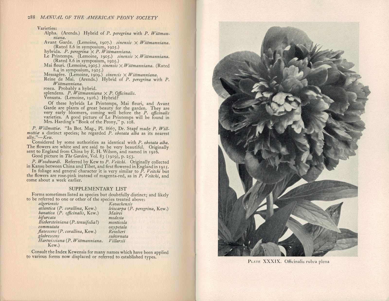 Southern Peony: books