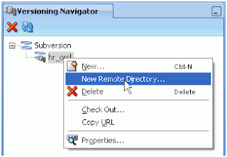 ORACLE MASTERMINDS: Using Source Code Control in Oracle SQL Developer