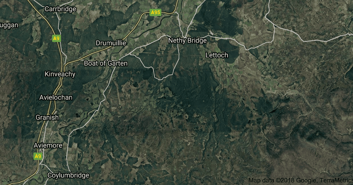 Beasts of Britain: THE APEMAN OF ABERNETHY FOREST