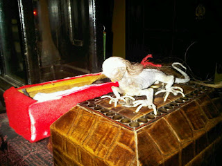 Jenglot Mystery Only In Indonesia:What Strange Happening in the World