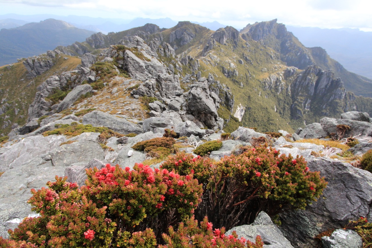 awildland: The Western Arthur Range - Southwest National Park, Tasmania