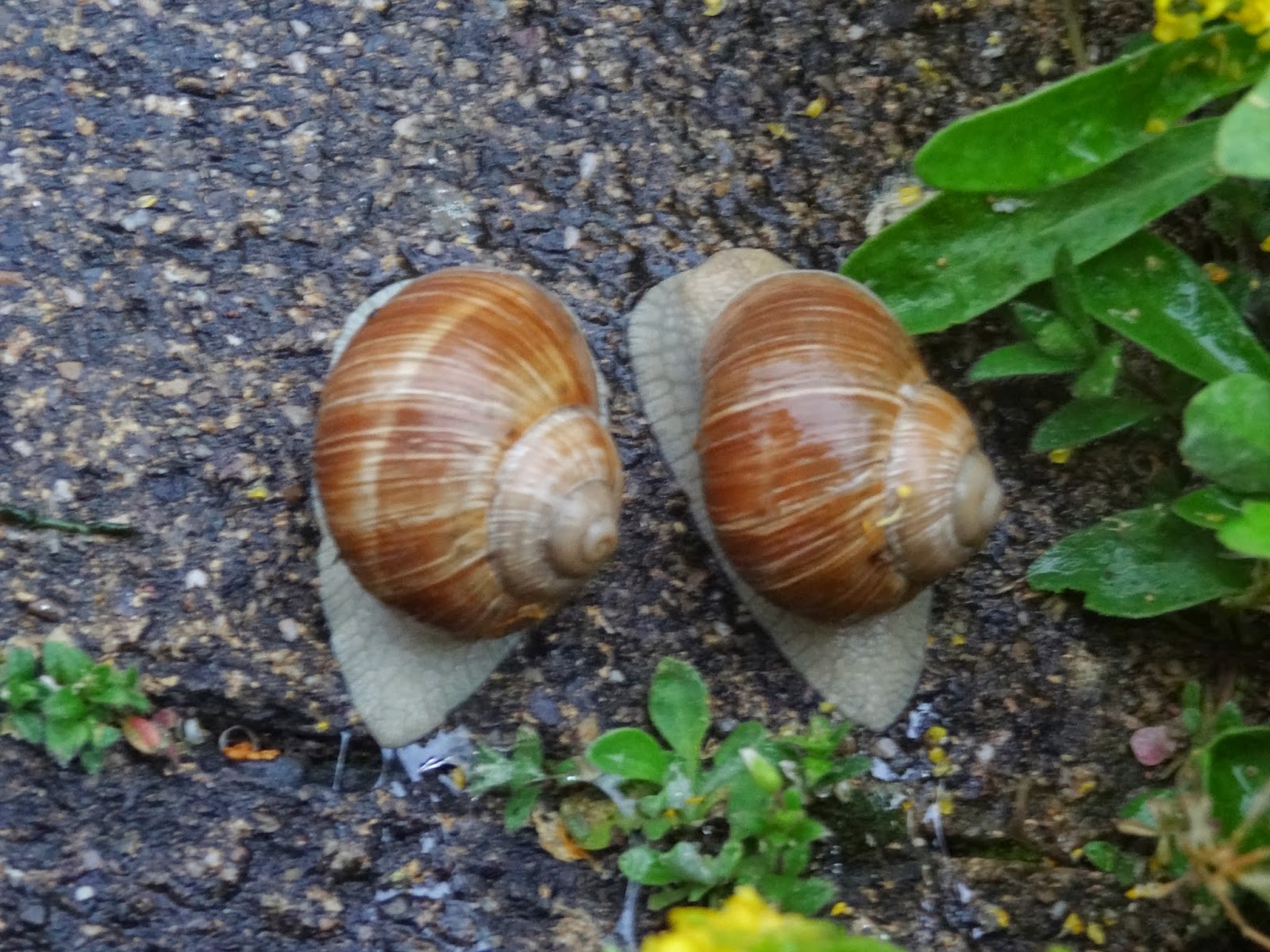 Theologie: Heuchelei oder wie werden usnere Gebete erhöhrt?: Als ...