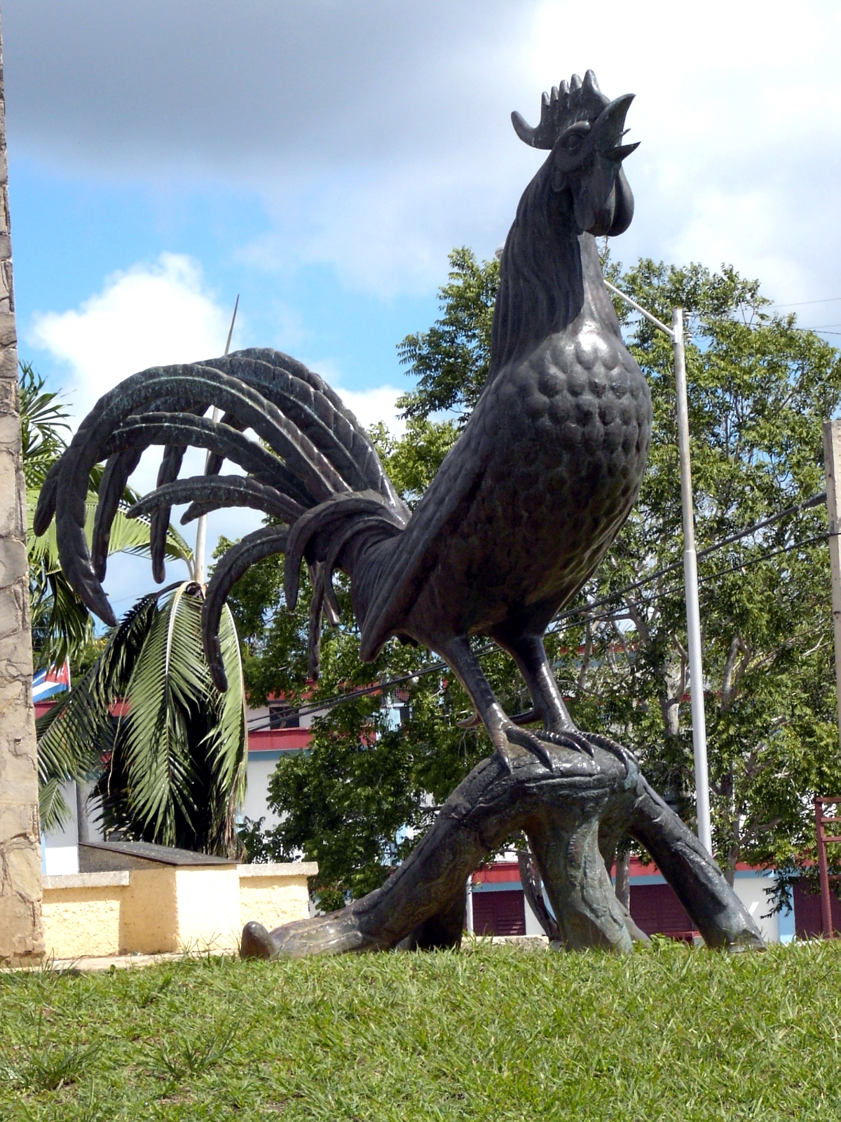 Nauyú: El gallo de Moròn en Ciego d e Àvila Cuba esta de fiesta este ...
