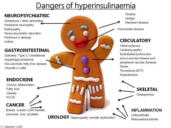 accidental yummy!: The Gingerbread Man