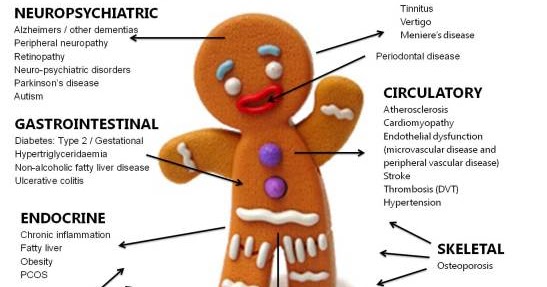 accidental yummy!: The Gingerbread Man