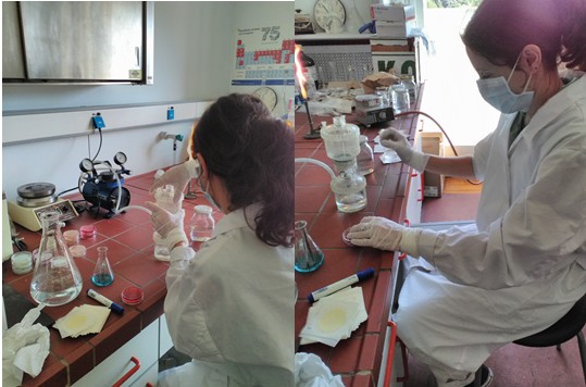 New research: appropriate and inappropriate beaches of Evia - Athens Times