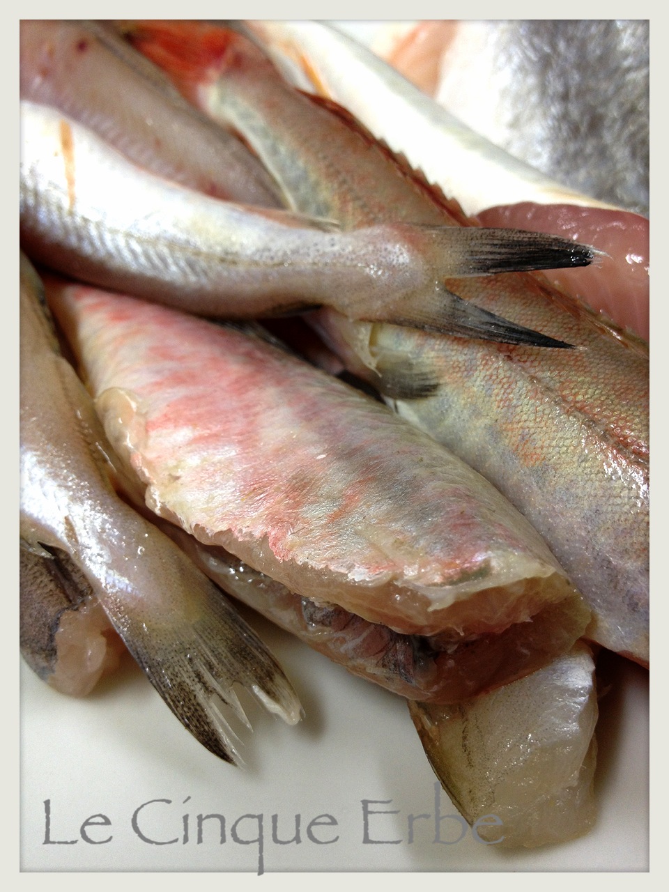 LE CINQUE ERBE: Le ricette di Luca: Il cappon magro a modo mio...