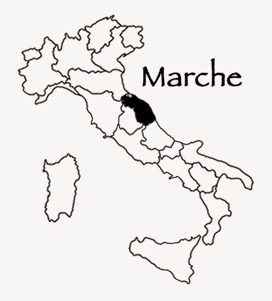 The World of Wine Review: Italy Unit 11 – Le Marche