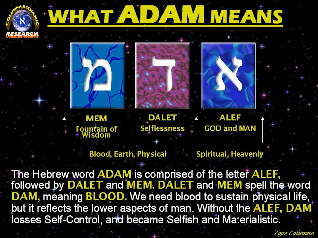 COLUMNA BITES OF WISDOM: TRUE ADAM 3: WHAT DOES IT MEAN, "TRUE ADAM ...