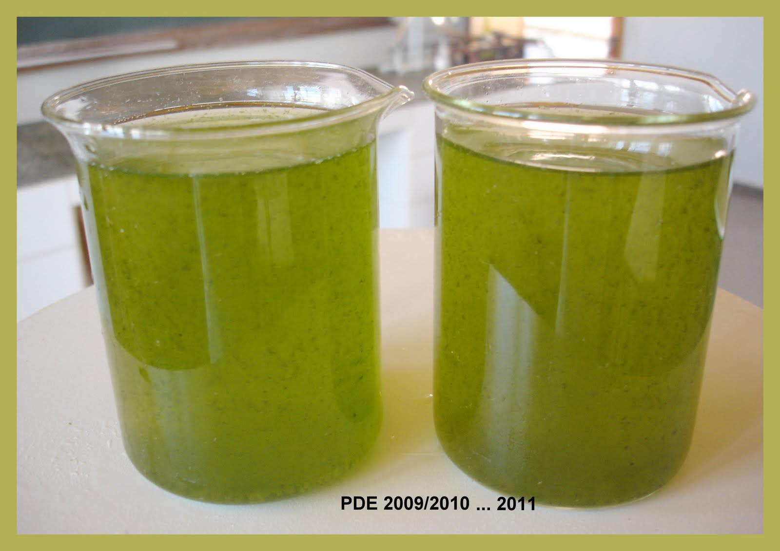 Cultivo de Microalgas em Fotobiorreatores: Cultivo... Microalgas...