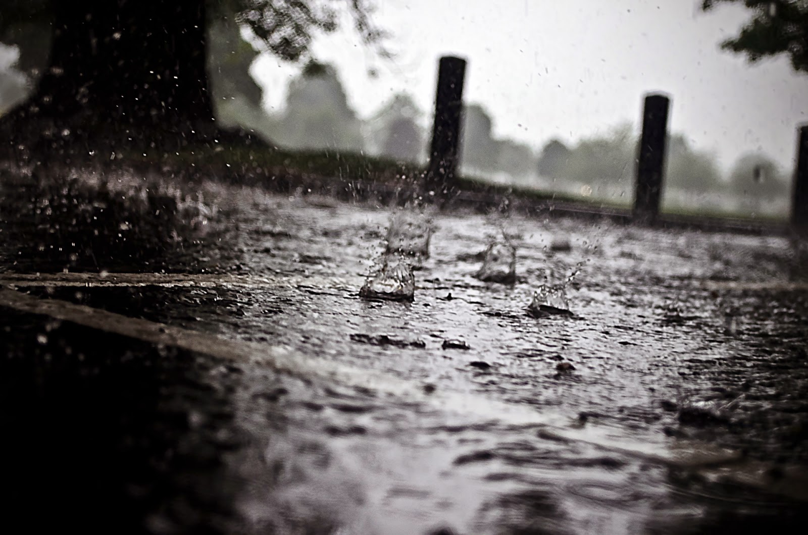 It's pretty, but I prefer to stay inside.