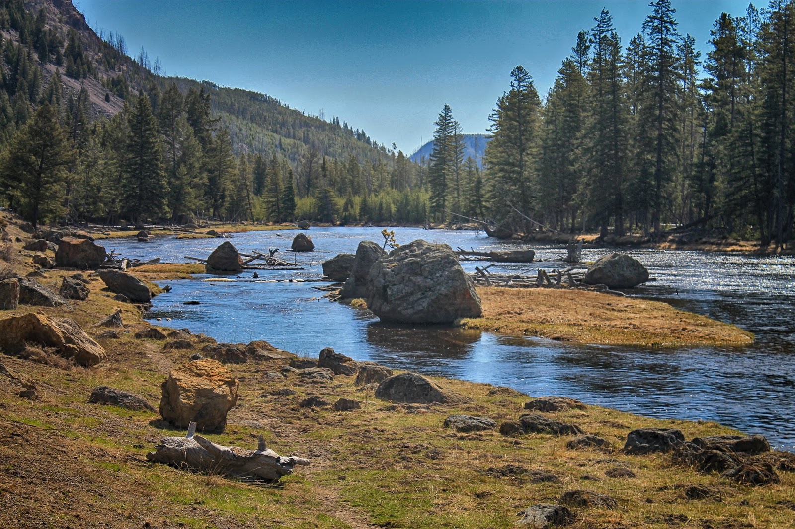 Yellowstone SW, Early Spring