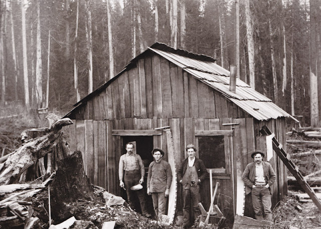 Amazing Vintage Photographs Document Logging and Lumber Activities in ...
