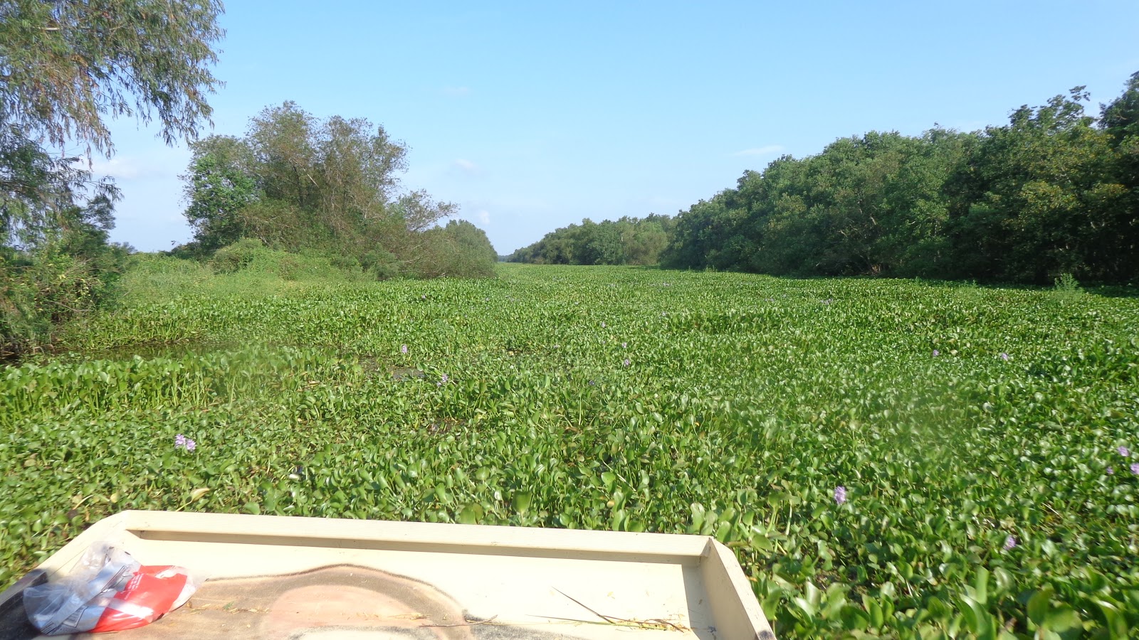 outdoorswithhank: Up Close and Personal, Hunting Alligators