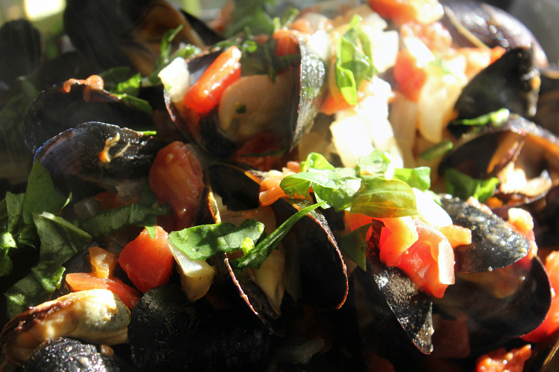 Family Meals & Coconut Curry Mussels Recipe | To & Fro