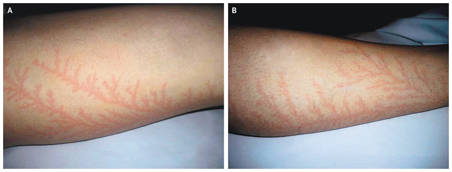 MedBunker - Le scomode verità: 2017