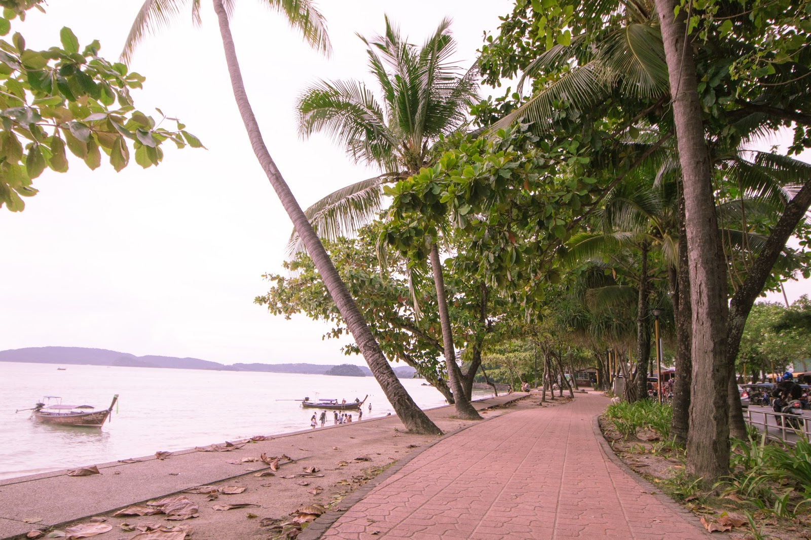 a Senak peak into Paradise // kurkistus paratiisiin