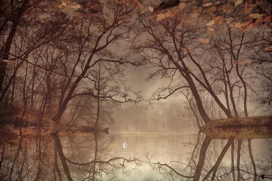 Anja Bührer | Surreal silhouettes | Tutt'Art@ Masters