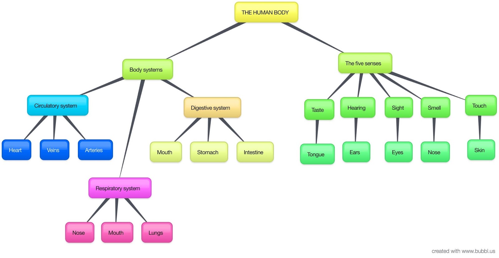 Third Grade Miróbriga: Unit 1 Review