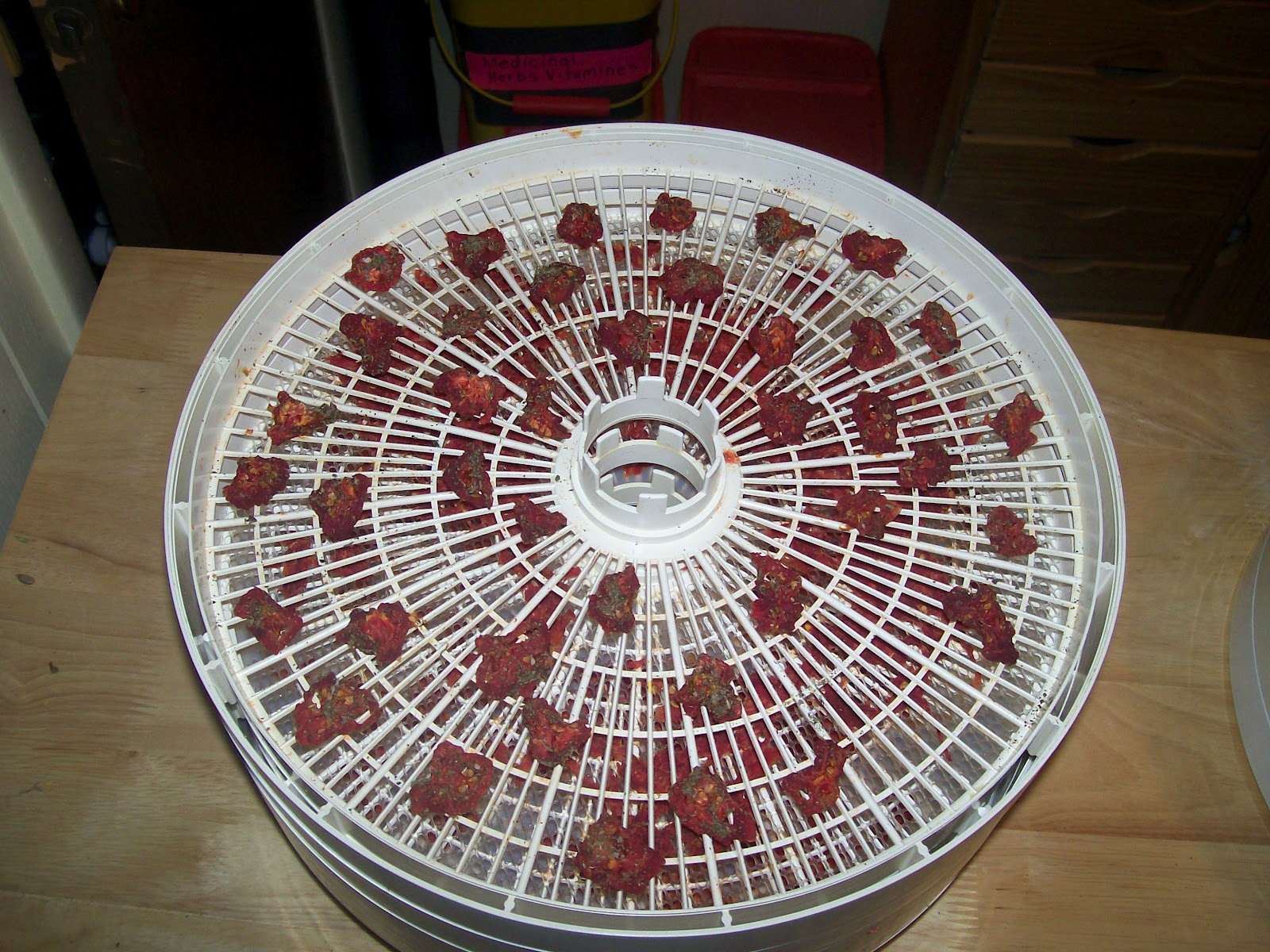 Dehydrating Way Beyond Jerky: Dehydrating Plum Tomatoes - Details