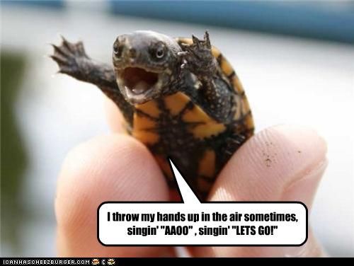 Thefunnypicturesblog I Throw My Hands Up In The Air Sometimes thefunnypicturesblog-i-throw-my-hands-up-in-the-air-sometimes