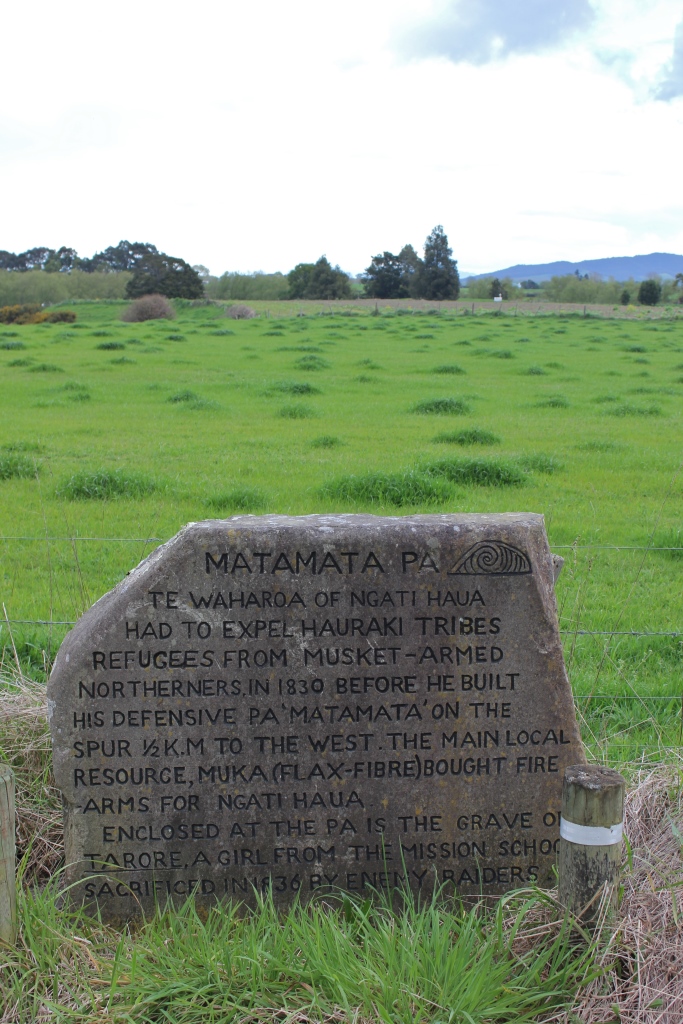 Ngakuku, Tarore and the Little Book: Book #7