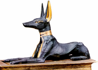 CYNOPOLIS: Dog collars