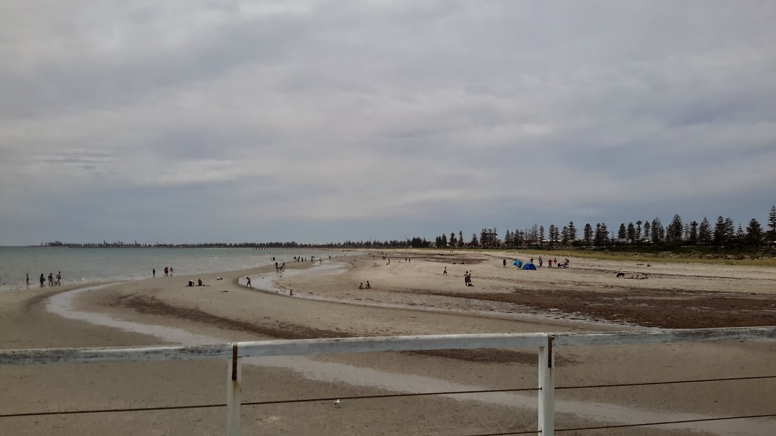 Kiwikids page: Semaphore Beach Adelaide