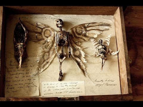 THEODORE THOMAS MERLIN 'OLD HOUSE