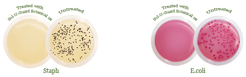 Melaleuca product reviews: Sol-u-guard Botanical 2x concentrated