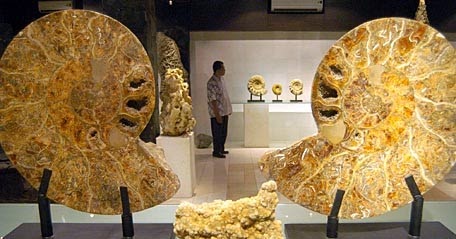 TOP ASEAN MUSEUM: Bali Shell Museum