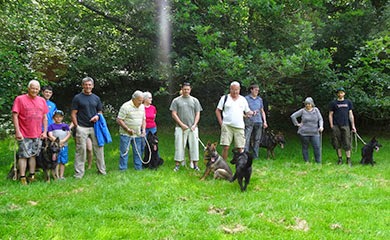 Cornwall, Devon and Dorset Police Dog Section: Police pup Boris says a ...