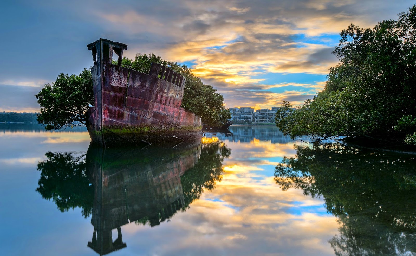 Wanderlust: Amazing Floating Forest in Sydney, Australia