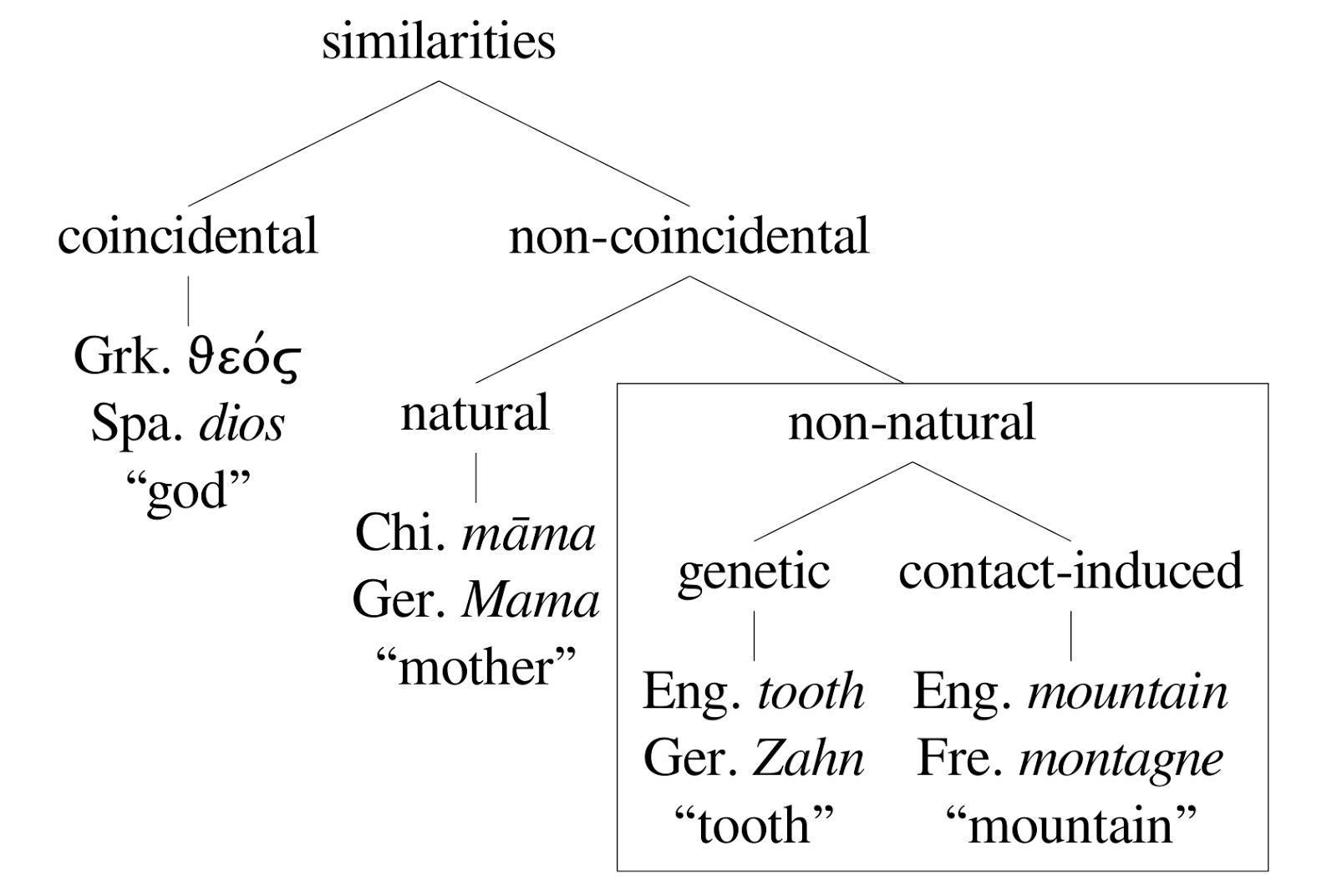 The Genealogical World of Phylogenetic Networks: Similarities and ...