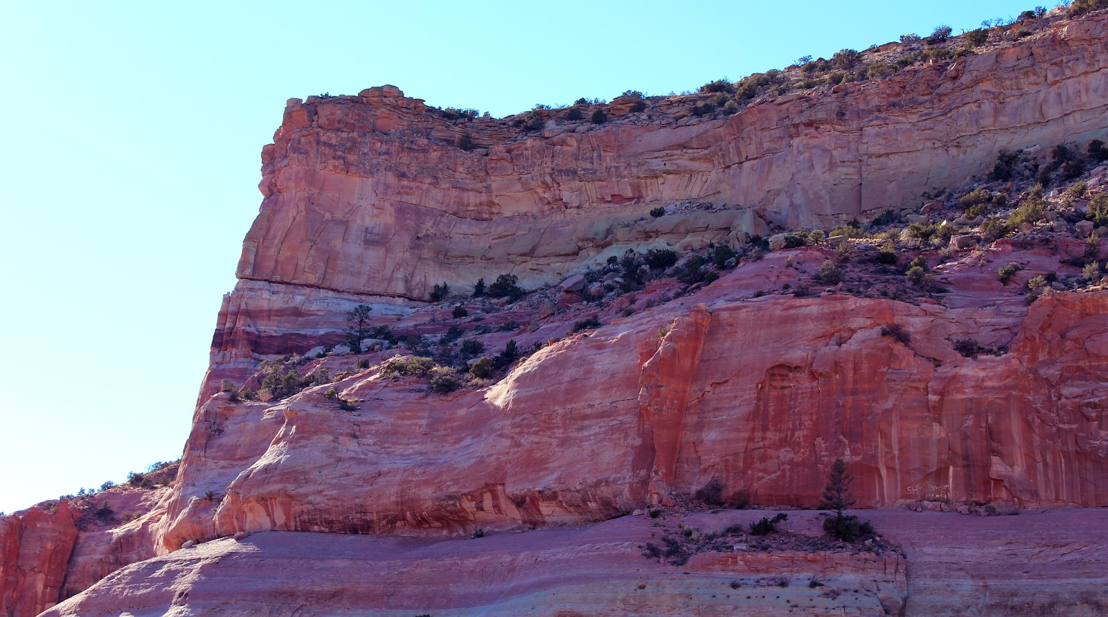 Honey's Treasures: New Mexico, Painted Desert and Petrified Forest