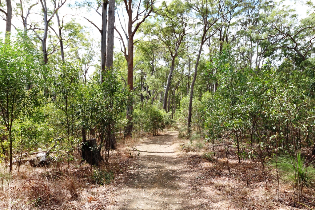National Park Odyssey: Glastonbury Creek Campground, Brooyar State ...