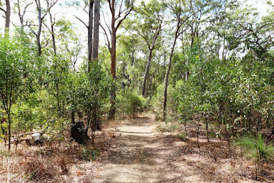 National Park Odyssey: Glastonbury Creek Campground, Brooyar State ...